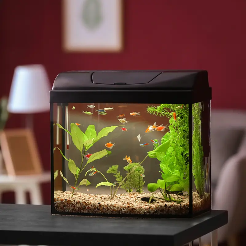 Animals on Campus | UMass Lowell